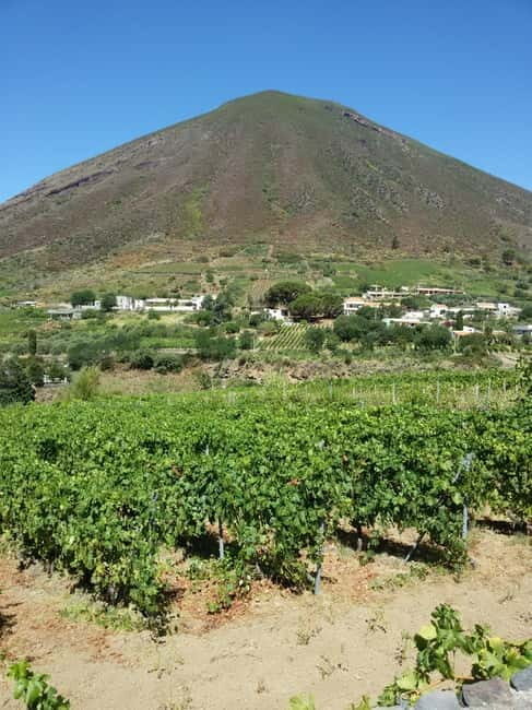 Salina: Private tour of the Aeolian Islands' greenest island - Practical Details and Considerations