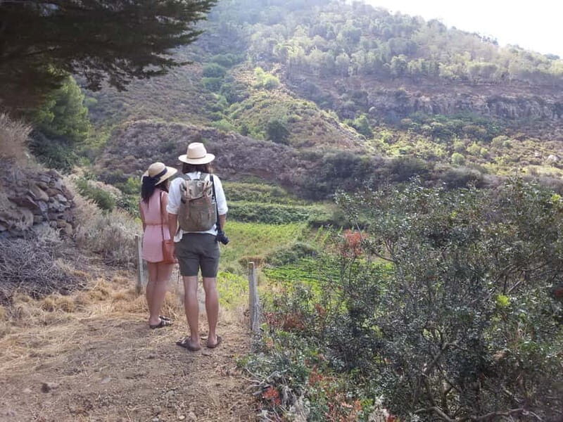 Salina: Private tour of the Aeolian Islands' greenest island - FAQ: Practical Questions About the Salina Private Tour