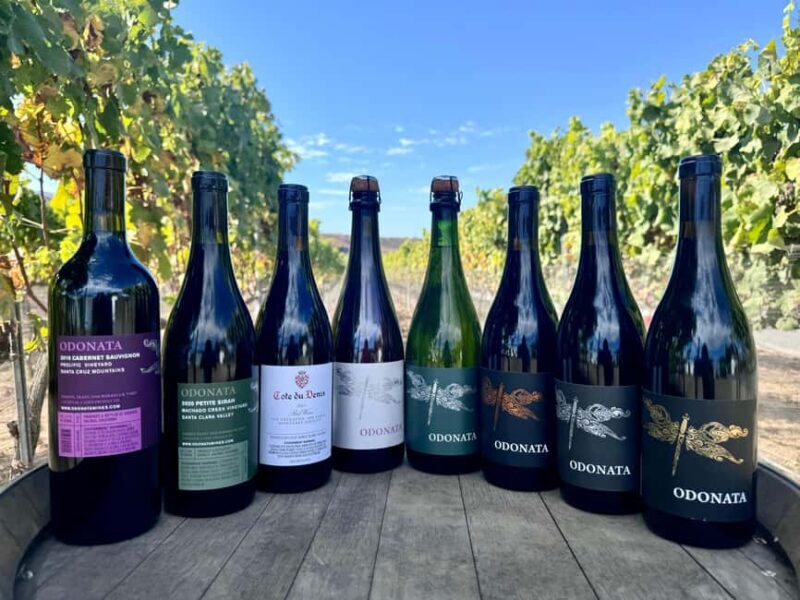 Salinas Valley, CA: Wine tasting experience - What’s Included and What to Expect