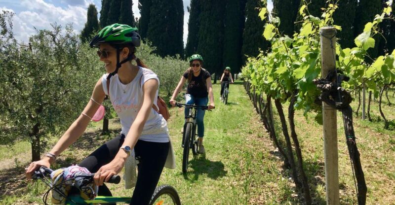 Salò: e-bike tour with wine tasting on Valtenesi Hills - Who would enjoy this tour?