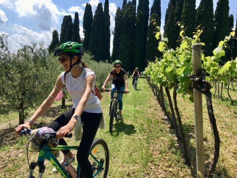 Salò: e-bike tour with wine tasting on Valtenesi Hills - Key Points