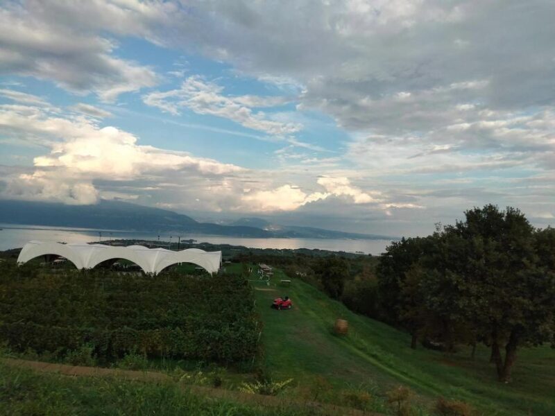 Salò: Tasting of 4 Valtenesi wines with local food - Who Should Consider This Tour?