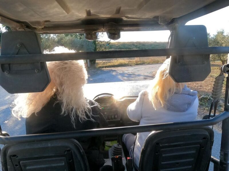 Salou: Buggy Safari with Hotel Transfer - What to Expect From Your Buggy Safari