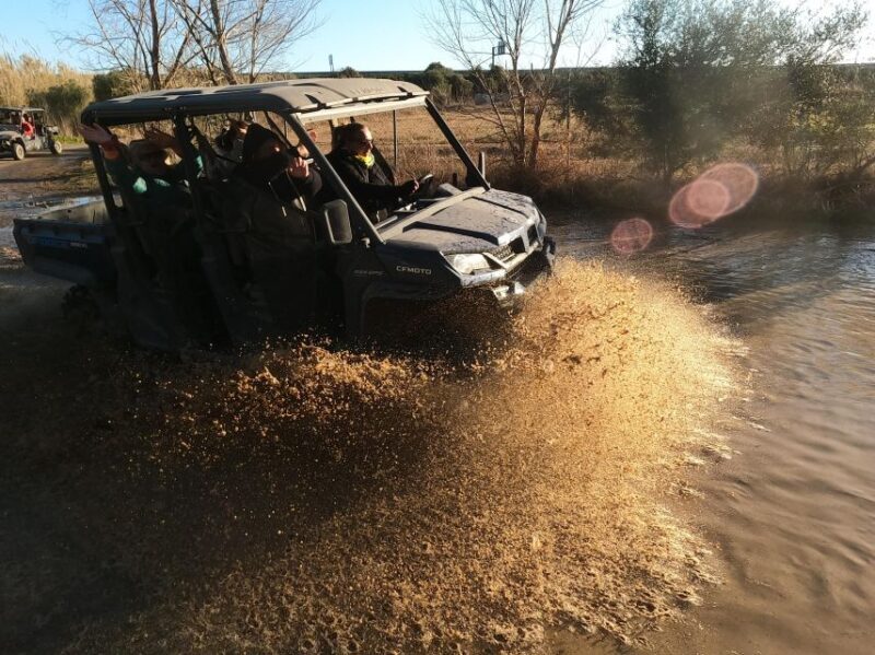 Salou: Buggy Safari with Hotel Transfer - Final Thoughts: Is It Worth It?