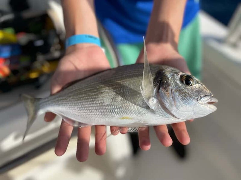 Salou: Hands-On Fishing Trip with Swimming at Sea - Who Would Love This Experience?