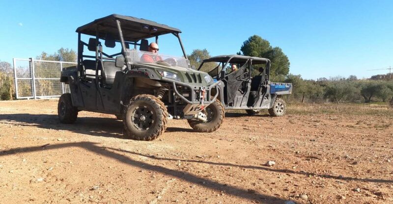 Salou: Kid's Buggy Driving Experience in Safe Environment - Key Points
