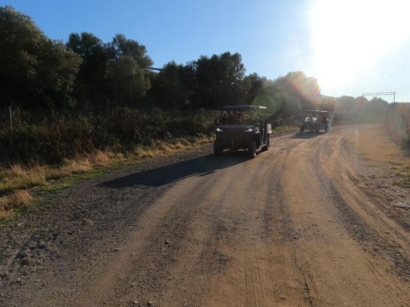 Salou: Kid's Buggy Driving Experience in Safe Environment - A Closer Look at the Kid’s Buggy Driving Experience