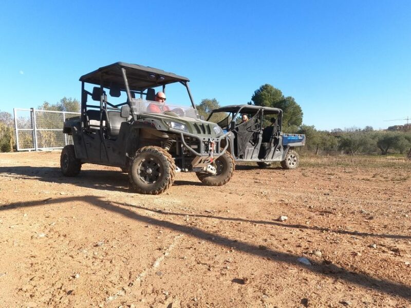 Salou: Kid's Buggy Driving Experience in Safe Environment - What the Experience Feels Like for Kids and Parents