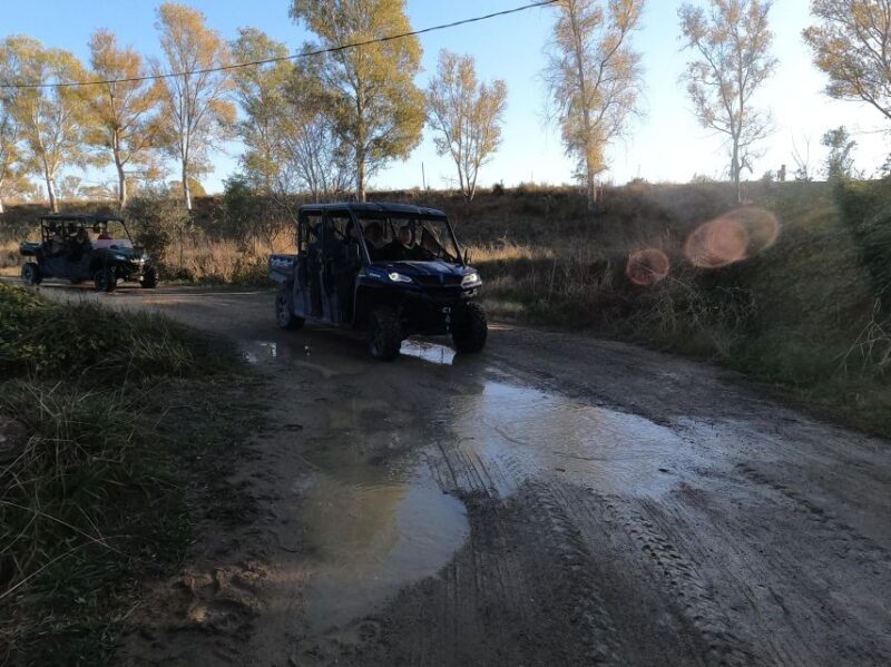 Salou: Kid's Buggy Driving Experience in Safe Environment - Practical Details: What You Should Know Before Booking