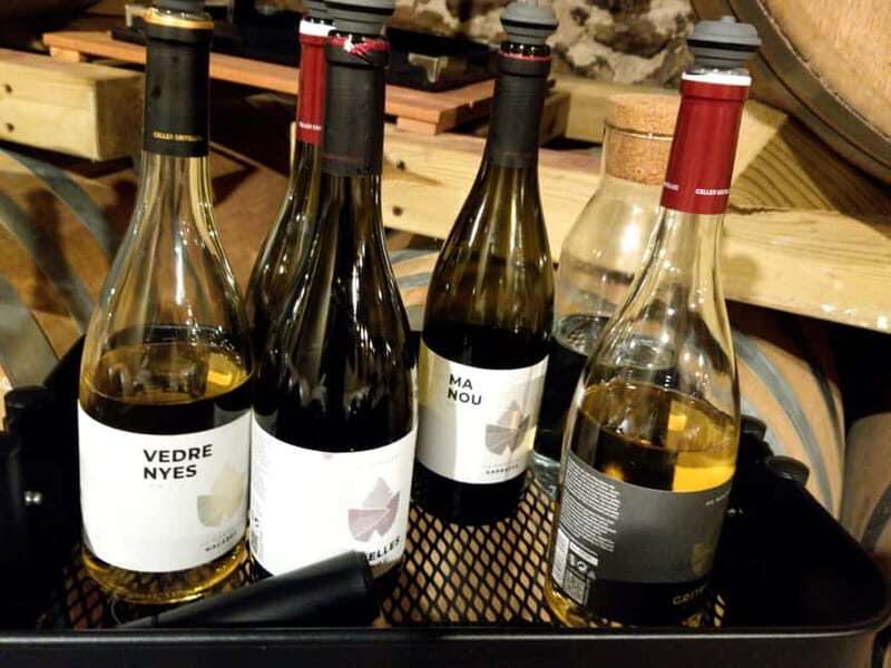Salou: Priorat tasting Wine-Cellar Tour with hotel pickup - Exploring the Salou: Priorat Wine Cellar Tour — A Detailed Look