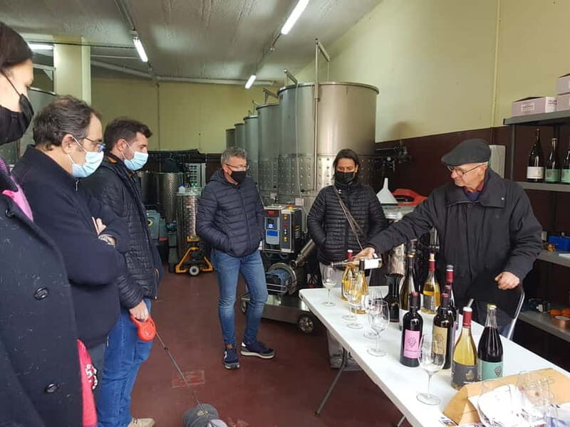 Salou: Priorat tasting Wine-Cellar Tour with hotel pickup - Authentic Experiences and Unique Highlights