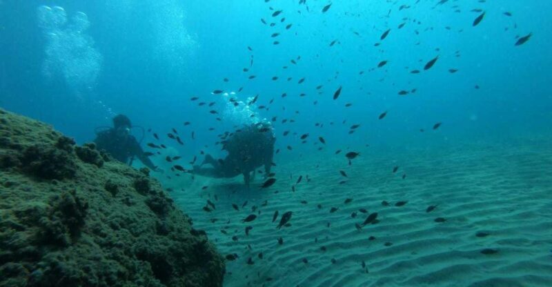 Salou: Scuba Diving for Beginners - The Itinerary in Detail