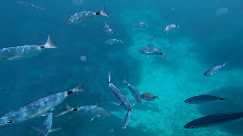 Salou: Underwater scooters - What’s Included and What’s Not