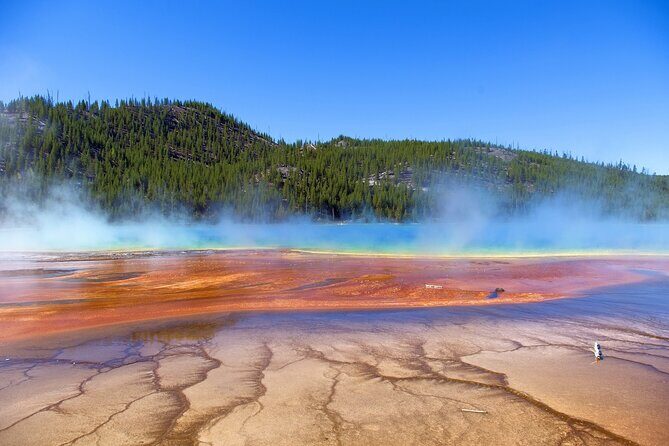 Salt Lake City Departure Yellowstone Park 3-day Panoramic Tour - Practical Tips for Potential Travelers