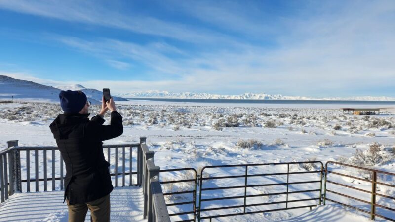 Salt Lake City: Great Salt Lake Antelope Island Guided Tour - An Authentic Exploration of Utah’s Most Unique Landscape