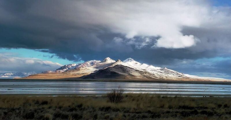 Salt Lake City: Great Salt Lake Antelope Island Guided Tour - The Bottom Line: Value and Authenticity