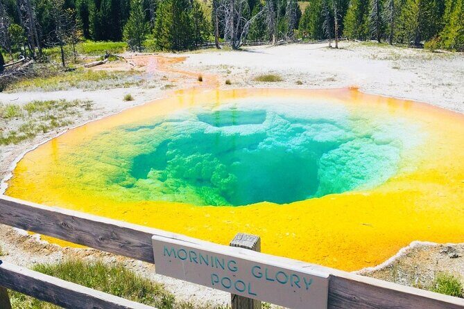 Salt Lake City to Yellowstone and Mt Rushmore 4 Day Tour - Key Points