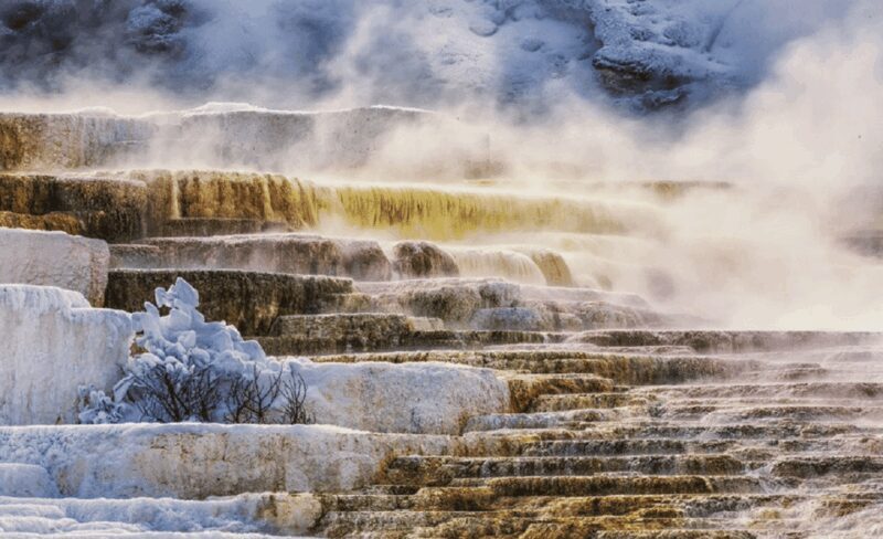 Salt Lake City: Yellowstone and Grand Teton 4-Day Tour - Who Should Consider This Tour?