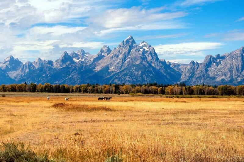 Salt Lake City: Yellowstone & Grand Teton 4-Day Tour - Frequently Asked Questions