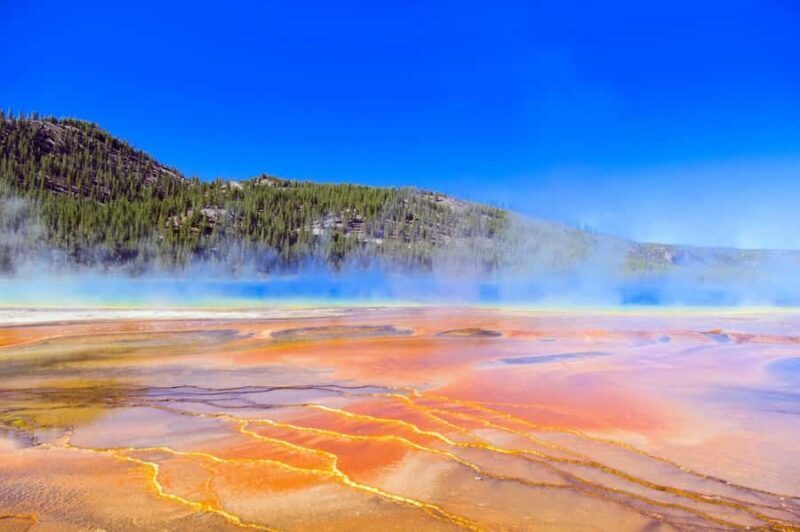 Salt Lake City: Yellowstone & Grand Teton 5-Day Tour - Authentic Experiences and Real Traveler Insights