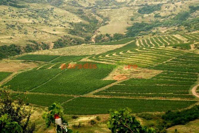 Salt Mine , Lunch at Winery Dracula Grave- Private Tour - In-Depth Look at the Tour Experience