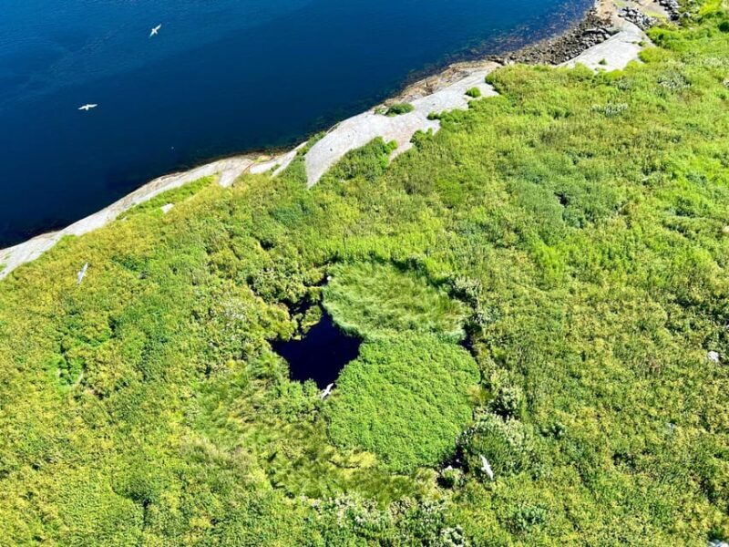 Saltstraumen: Arctic Adventure and Scenic Journey - Key Points