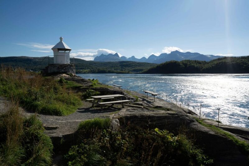 Saltstraumen: Arctic Adventure and Scenic Journey - What the Reviews Say