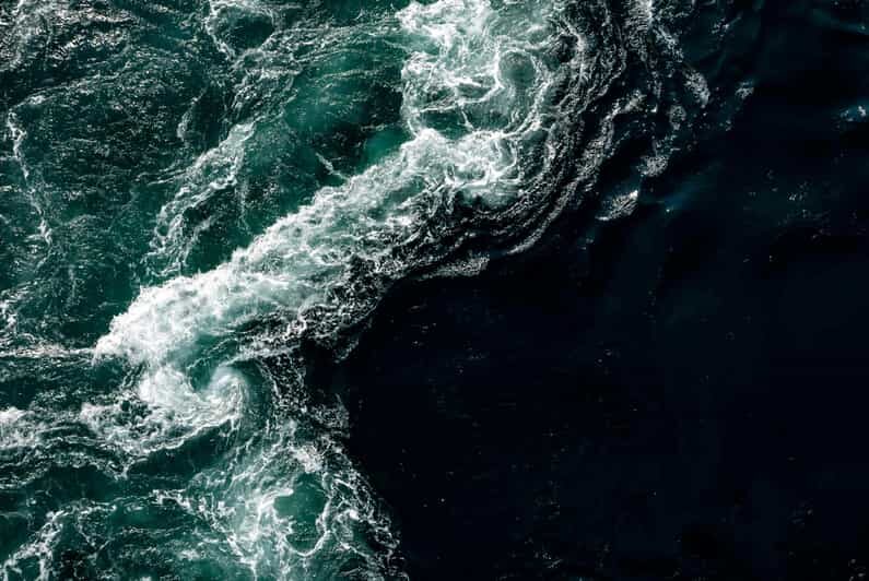 Saltstraumen: Arctic Adventure and Scenic Journey - Who This Tour Is Best For
