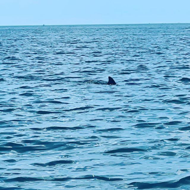Salty Turtle Adventure Charter - The Value of the Experience