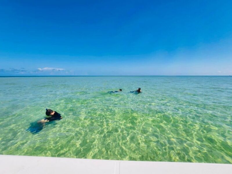 Salty Turtle Adventure Charter - Who Will Love This Experience?
