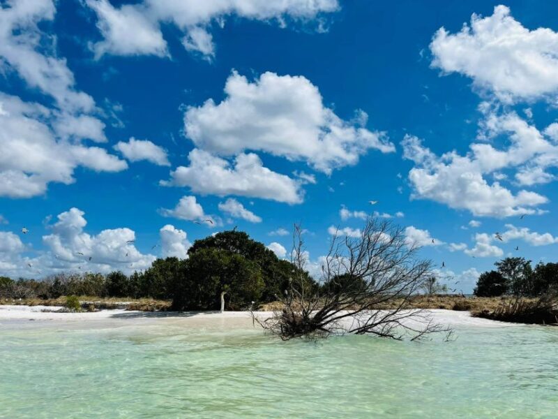 Salty Turtle Adventure Charter - FAQs