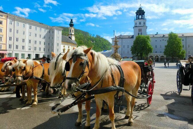 Salzburg and Lake Region Private Day Trip from Vienna - A Closer Look at the Itinerary