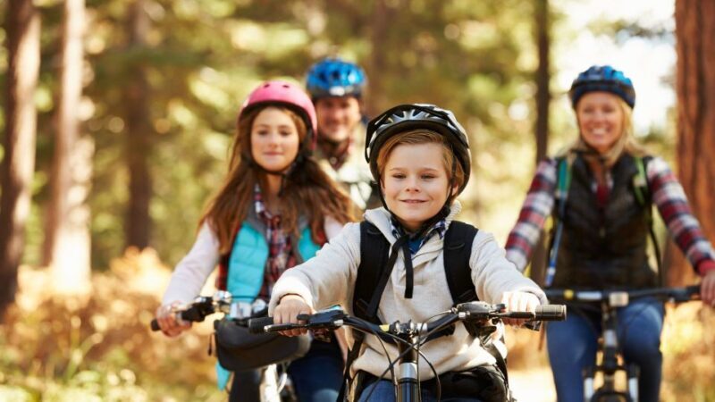 Salzburg: City and Countryside Mountain Bike Tour - Who Is This Tour Best For?