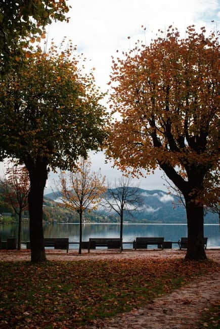 Salzburg: Mondsee Private Tour with Basilica and Lake view - Final Thoughts