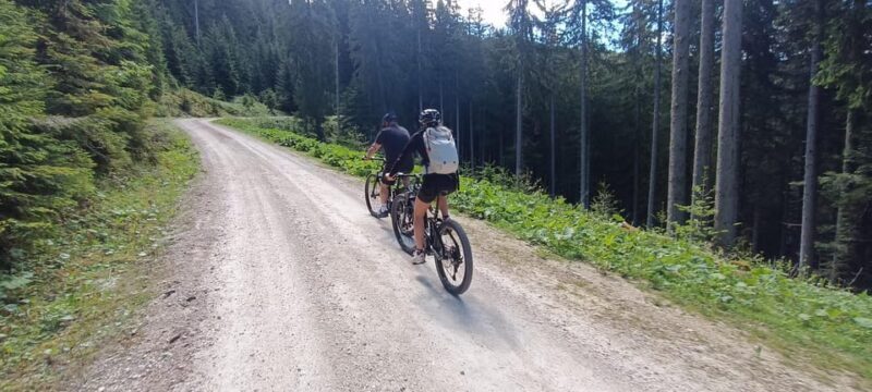 Salzkammergut: Guided e-bike tour to the alpine pastures in Gosau and Hallstatt - Key Points
