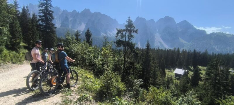 Salzkammergut: Guided e-bike tour to the alpine pastures in Gosau and Hallstatt - The Quality & Value of the Tour