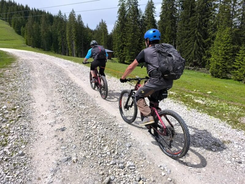 Salzkammergut: Guided e-bike tour to the alpine pastures in Gosau and Hallstatt - FAQ