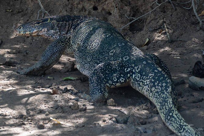 Sam Roi Yod National Park & Praya Nakhon Cave Join Group Tour - Considerations for Travelers