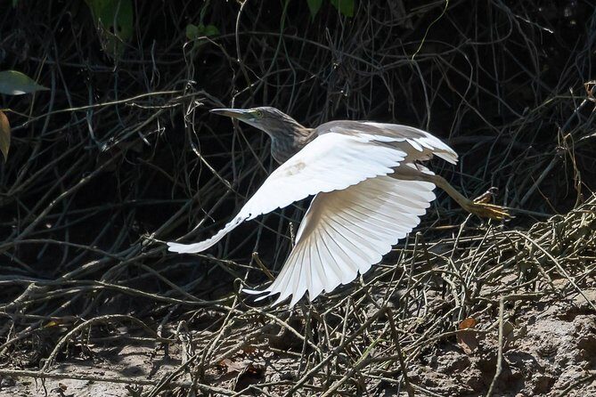 Sam Roi Yod National Park & Praya Nakhon Cave Join Group Tour - The Sum Up