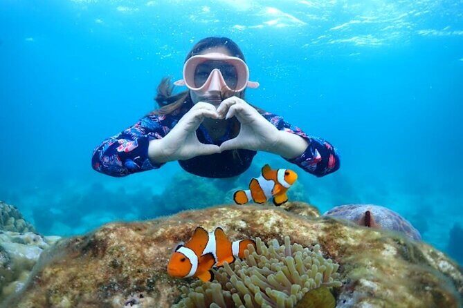 Samaesan Island Private Speedboat and Snorkeling Tour - Introduction