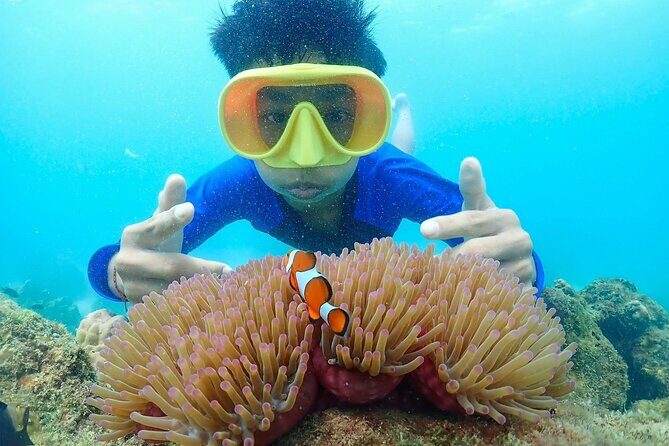 Samaesan Island Private Speedboat and Snorkeling Tour - Relaxation and Beach Time at Raet Island (Ko Ai Raed Island)