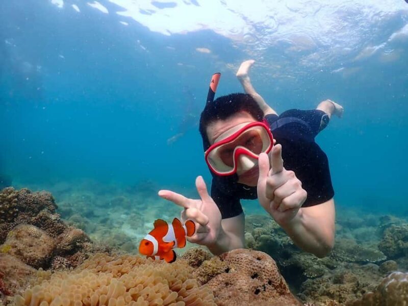 Samaesarn : Finding Nemo Snorkeling Tour Private speedboat - Key Points
