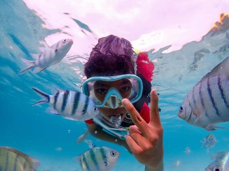 Samaesarn : Finding Nemo Snorkeling Tour Private speedboat - Final Thoughts