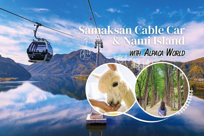 Samaksan Cable Car &Nami Island with Alpaca - Introduction: A Scenic Day Out from Seoul You’ll Love