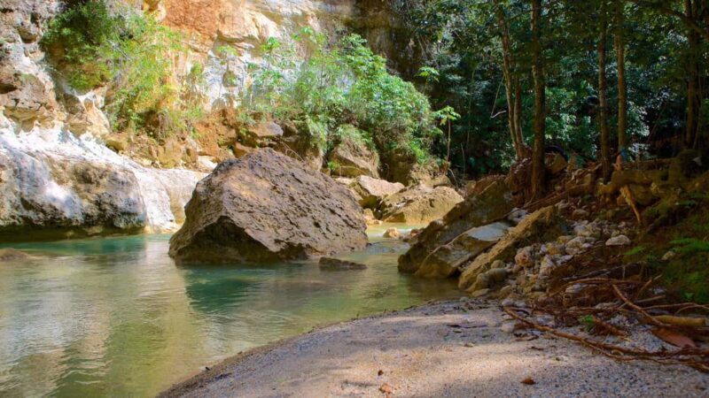 Samana Adventure: Cayo Levantado & El Limón Waterfall combo - The Itinerary: A Closer Look