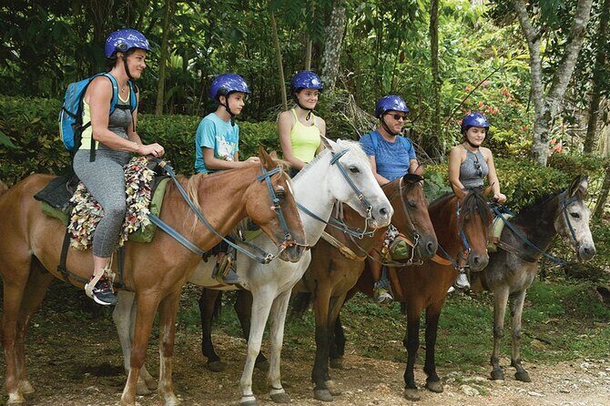 Samaná and Cayo Lemon Waterfall from Punta Cana - The Sum Up
