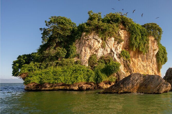 Samaná Bacardi Island and Los Haitises from Punta Cana with Lunch - Introduction