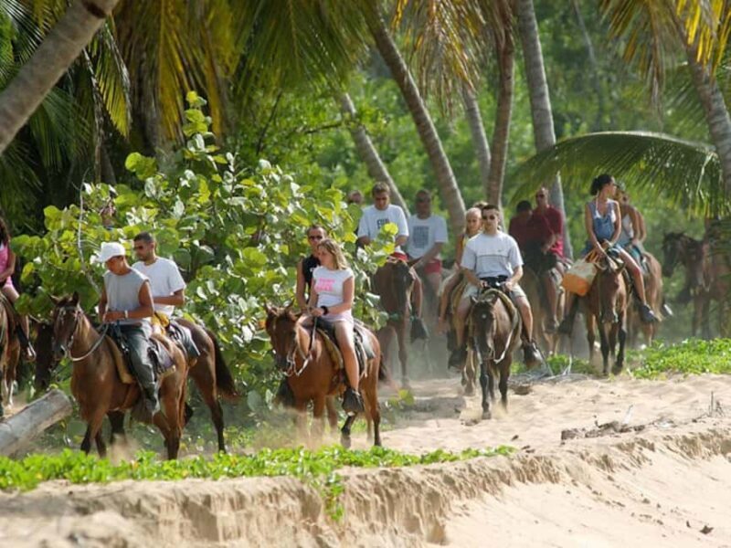 Samana, Ballenas, Cayo Levantado, Horseback Riding - Authenticity and Unique Experiences