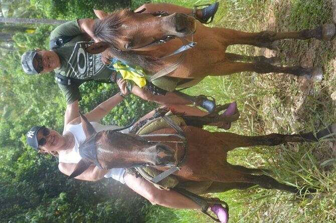 Samaná Bay: Bacardi Island and Limon Waterfall - The Sum Up