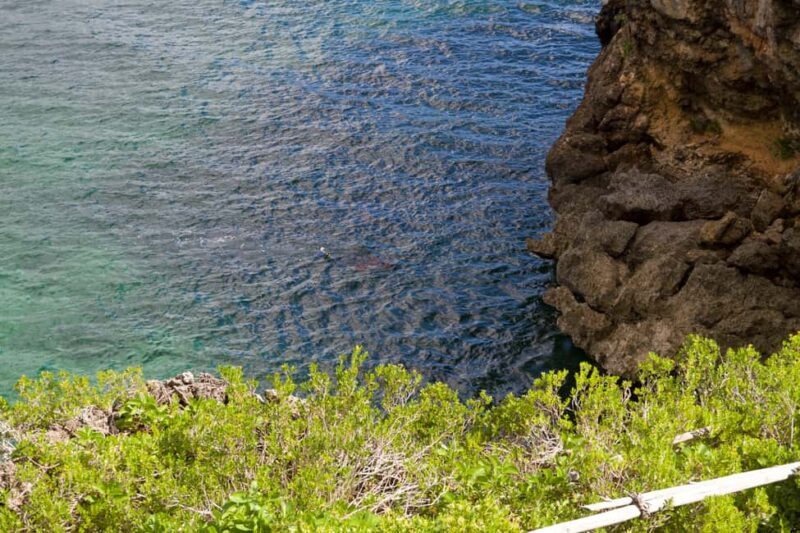 Samana Bay: Cayo Levantado Snorkeling and Kayaking Tour - Practical Tips for a Smooth Experience